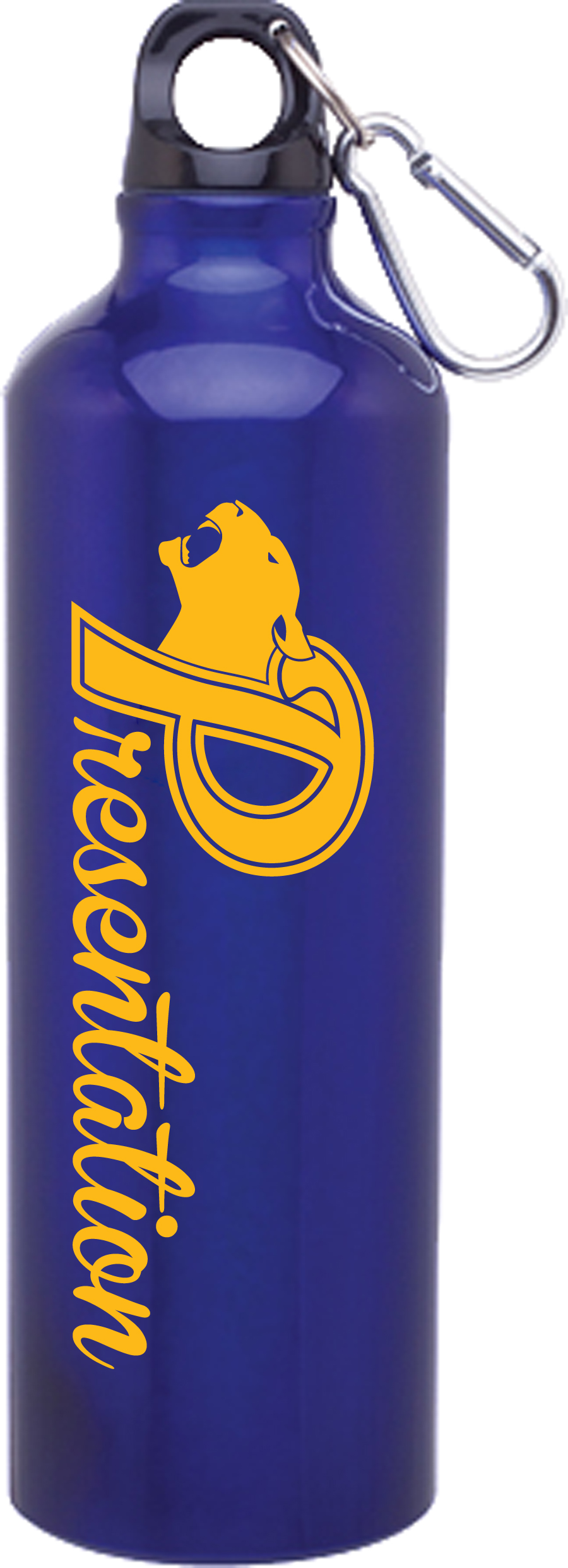 24 oz h2go aluminum water bottle with threaded lid - carabiner included ...